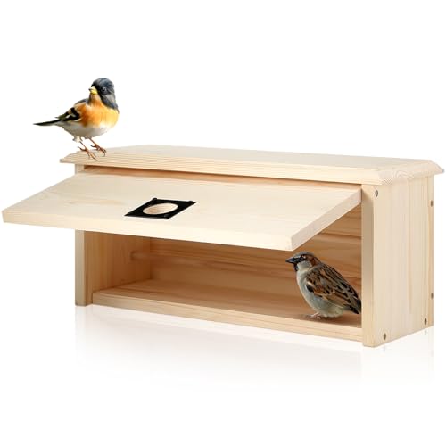 Insulated Bird Houses for Winter: Keep Birds Warm and Safe in The Cold