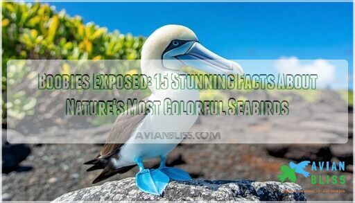 Boobies Exposed: 15 Stunning Facts About Nature's Most Colorful Seabirds