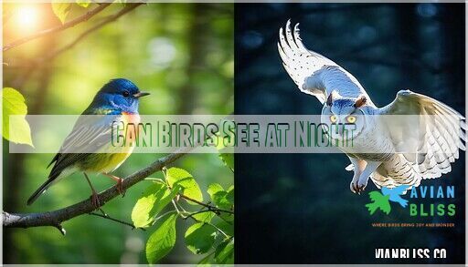 Can Birds See at Night? Facts About Their Vision and Night Adaptations