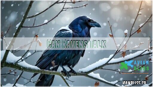 Can Ravens Talk? The Surprising Truth About Their Speech Abilities