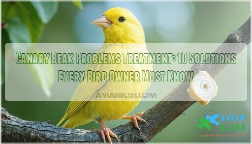 Canary Beak Problems Treatment: 10 Solutions Every Bird Owner Must Know