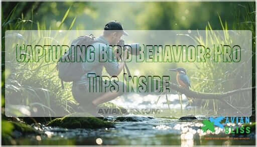 Capturing Bird Behavior: Pro Tips Inside