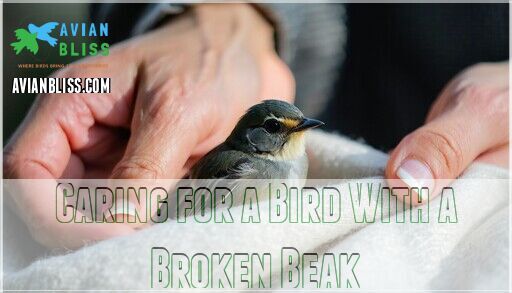 Bird Beak Injury Treatment: Heal Fast