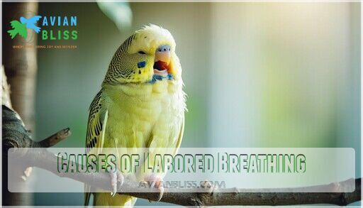 Sick Bird Labored Breathing: Emergency Signs & Life-Saving Tips