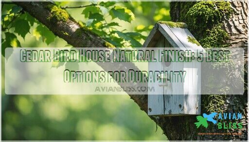 DIY Bird House Plans Free: 25+ Easy Designs to Build Today (2025)