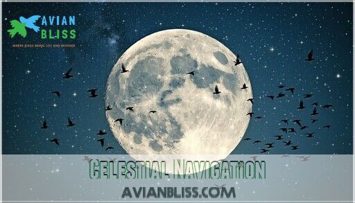 How Birds Navigate Migration: 5 Shocking Secrets of Nature's GPS System