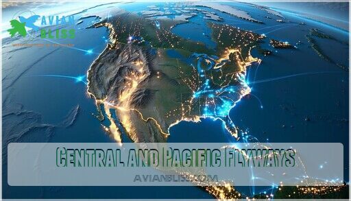 Bird Migration Distance by Species: Shocking Records That Will Amaze You