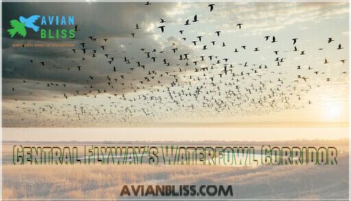 Migrating Bird Habitats in North America: Key Flyways and Conservation