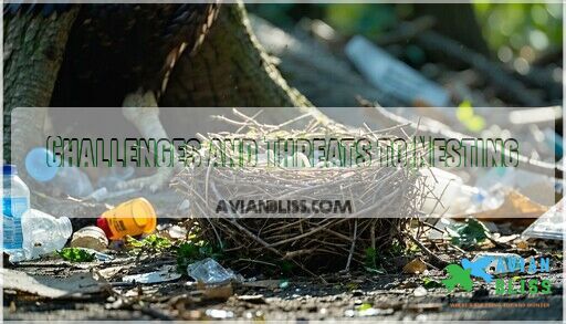 Bird Nesting Habits and Rituals: Fascinating Secrets of Avian Life