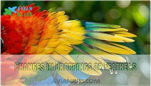 Bird Behavior Changes Illness: Key Warning Signs Every Owner Should Know