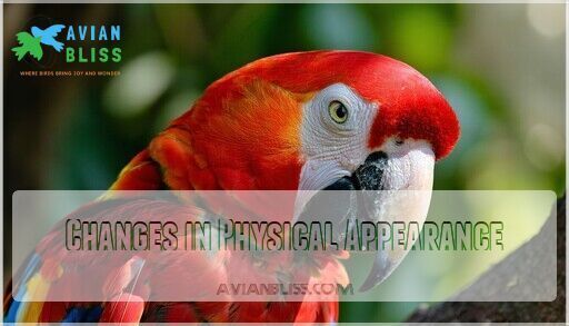 Bird Behavior Changes Illness: Key Warning Signs Every Owner Should Know