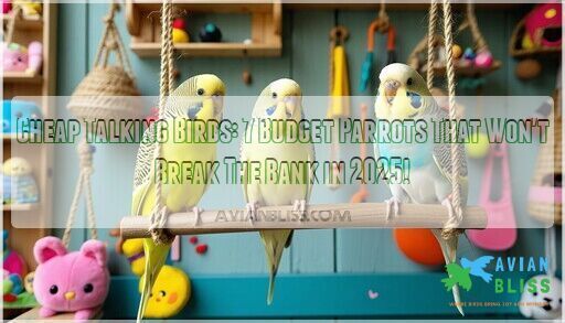 Cheap Talking Birds: 7 Budget Parrots That Won't Break The Bank in 2025!