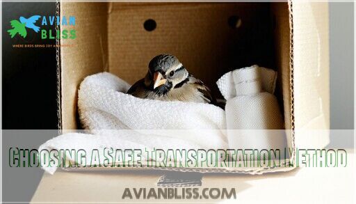 Bird First Aid for Broken Leg: Steps to Help Injured Birds Quickly