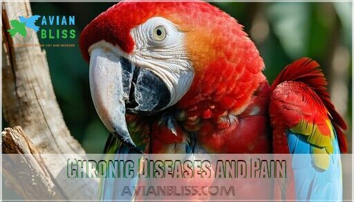 Feather Plucking Disease Symptoms: Causes, Signs, and How to Treat