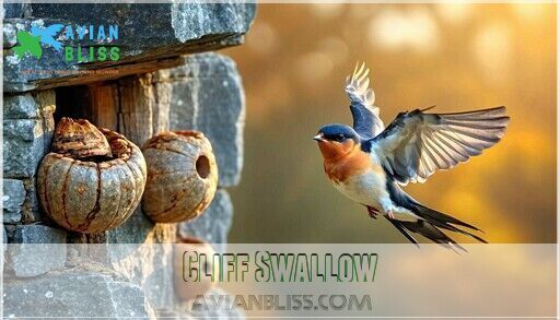 Exploring Wisconsin's Swallow Species: Diversity and Habitats