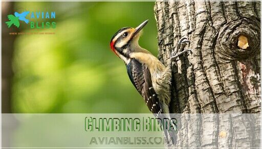 How Birds Adapt to Environments: Amazing Secrets of Survival Revealed!