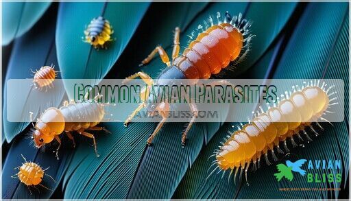 Recognizing Signs of Avian Parasites: Symptoms Every Bird Owner Should Know