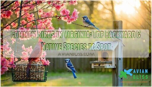 Common Birds in Virginia: Top Backyard & Native Species to Spot