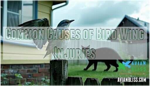 How to Treat Injured Bird Wing: Simple Steps to Help It Heal Safely