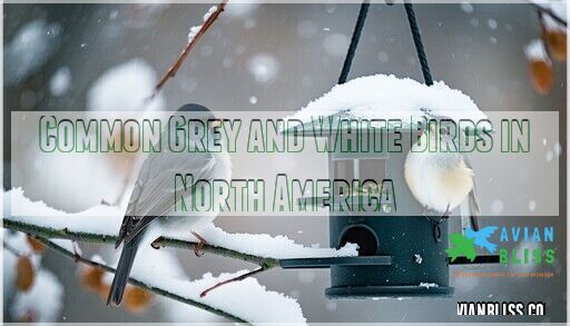 Grey and White Birds: 15 Beautiful Species You Need to See! (2024 Guide)