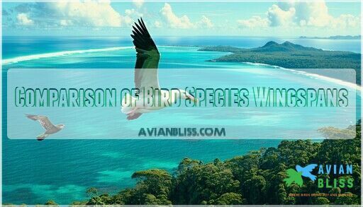 Largest Wingspan Bird: Meet The Giants of The Skies!