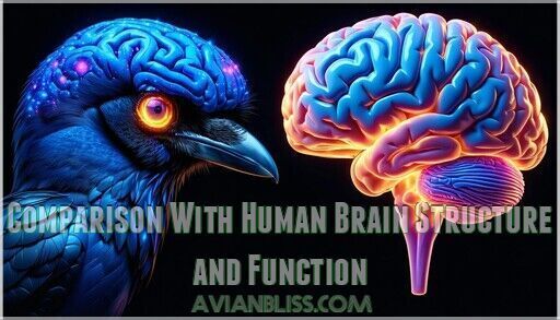 Can Ravens Talk? The Surprising Truth About Their Speech Abilities