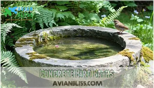 Types of Bird Baths for Backyard: 7 Stunning Styles Birds Can't Resist