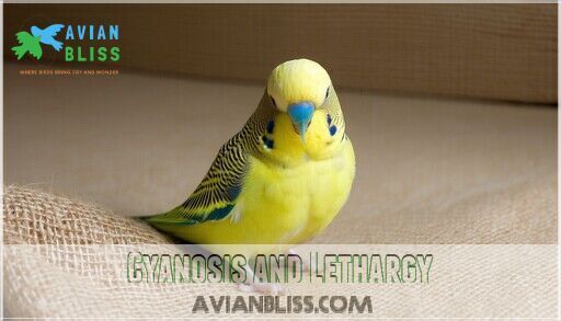 Sick Bird Labored Breathing: Emergency Signs & Life-Saving Tips
