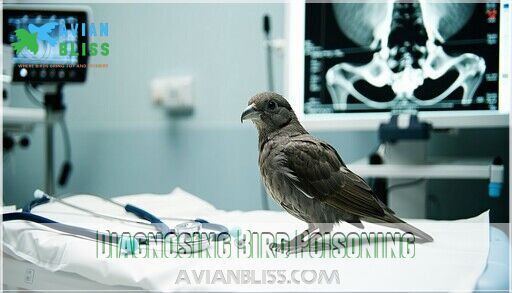 Bird Poisoning Symptoms Treatment: Act Fast