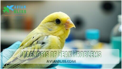 Canary Beak Problems Treatment: 10 Solutions Every Bird Owner Must Know