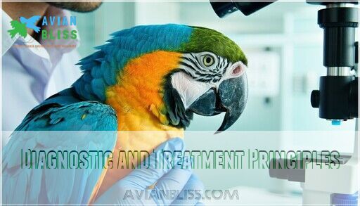 Bird Neurological Disease Symptoms: 9 Critical Warning Signs Every ...