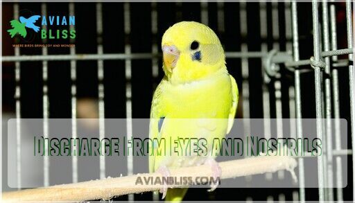How to Help Bird With Respiratory Problems: Signs, Causes, and Care