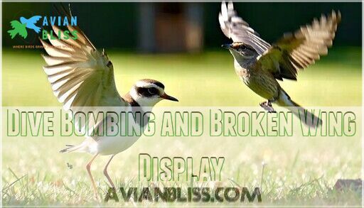 Bird Behavior Nest Building: Secrets Behind Nests and Birdhouses