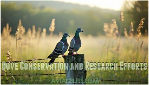 Doves in Virginia: 4 Must-Know Species for Backyard Birders!