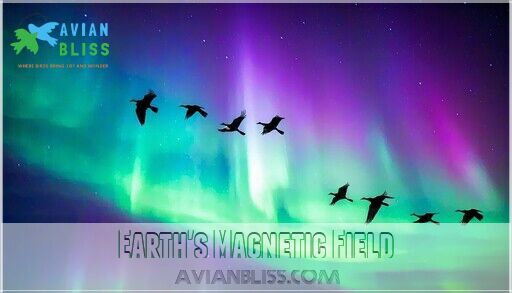Birds That Migrate at Night: How They Navigate and Avoid Predators