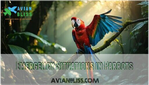 Parrot Health Issues Symptoms: 10 Warning Signs Every Owner Needs