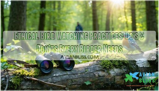 Ethical Bird Watching Practices: Do's & Don'ts Every Birder Needs