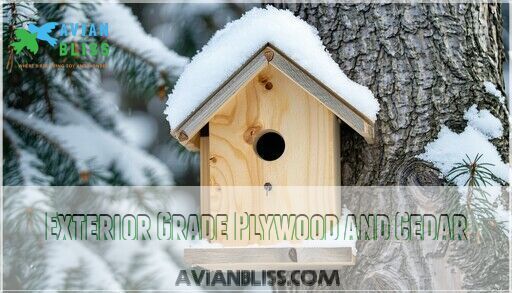 Insulated Bird Houses for Winter: Keep Birds Warm and Safe in The Cold