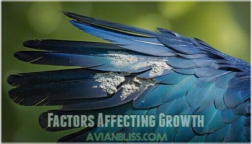 Bird Feathers: Complete Guide to Structure, Types & Care Secrets