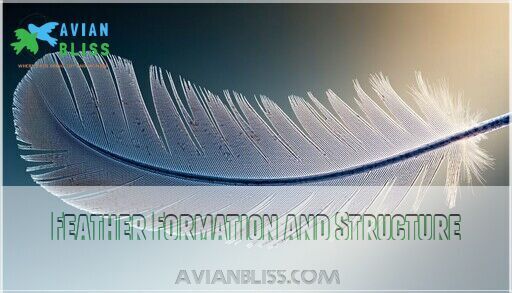 Bird Feathers: Complete Guide to Structure, Types & Care Secrets