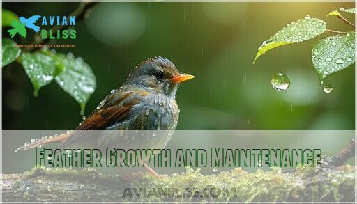 Bird Facts About Feathers: Structure, Types, and Fascinating Functions