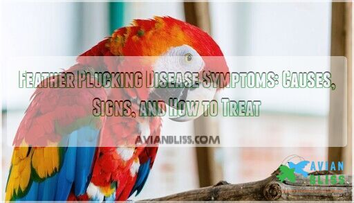 Feather Plucking Disease Symptoms: Causes, Signs, and How to Treat