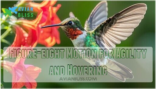 Little Known Facts About Hummingbird Anatomy Revealed