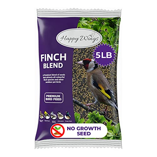 Best Bird Food for Finches: Top 14 Picks to Attract Them to Your Yard