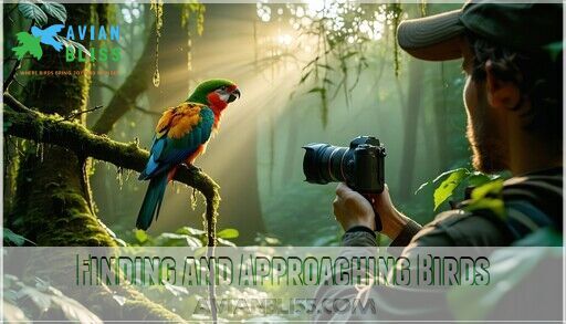 Best Bird Photography Tips for Beginners: Capture Stunning Bird Images
