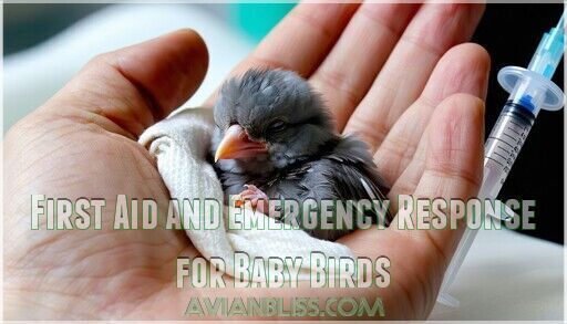 Emergency First Aid for Baby Birds: Life-Saving Tips Every Owner Needs