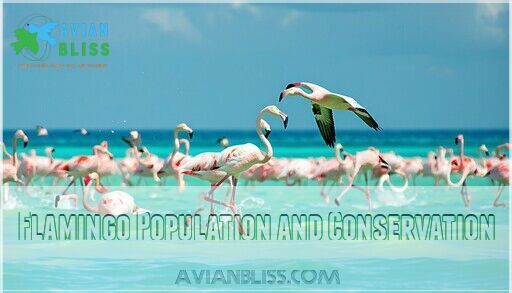 Do Flamingos Migrate? Surprising Facts About Their Flight and Patterns