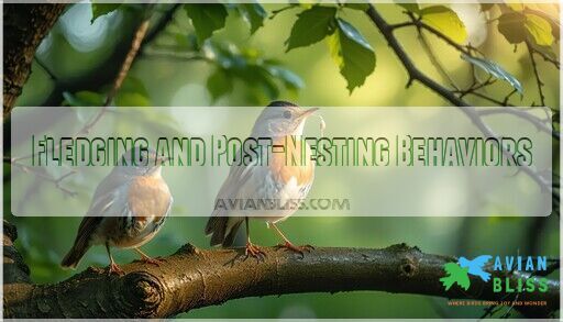 Bird Nesting Habits and Rituals: Fascinating Secrets of Avian Life