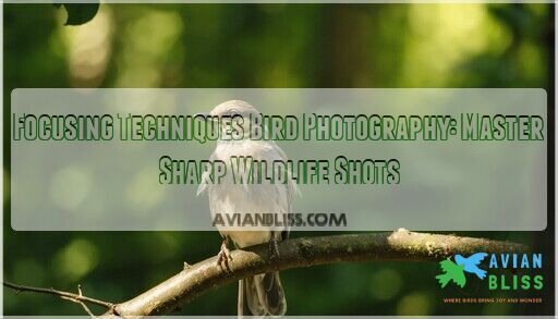 Focusing Techniques Bird Photography: Master Sharp Wildlife Shots