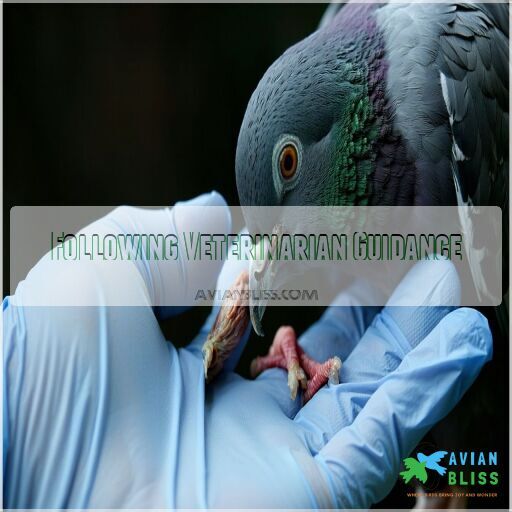 Pigeon Limping and Swollen Leg: Causes, Symptoms, and Effective Care